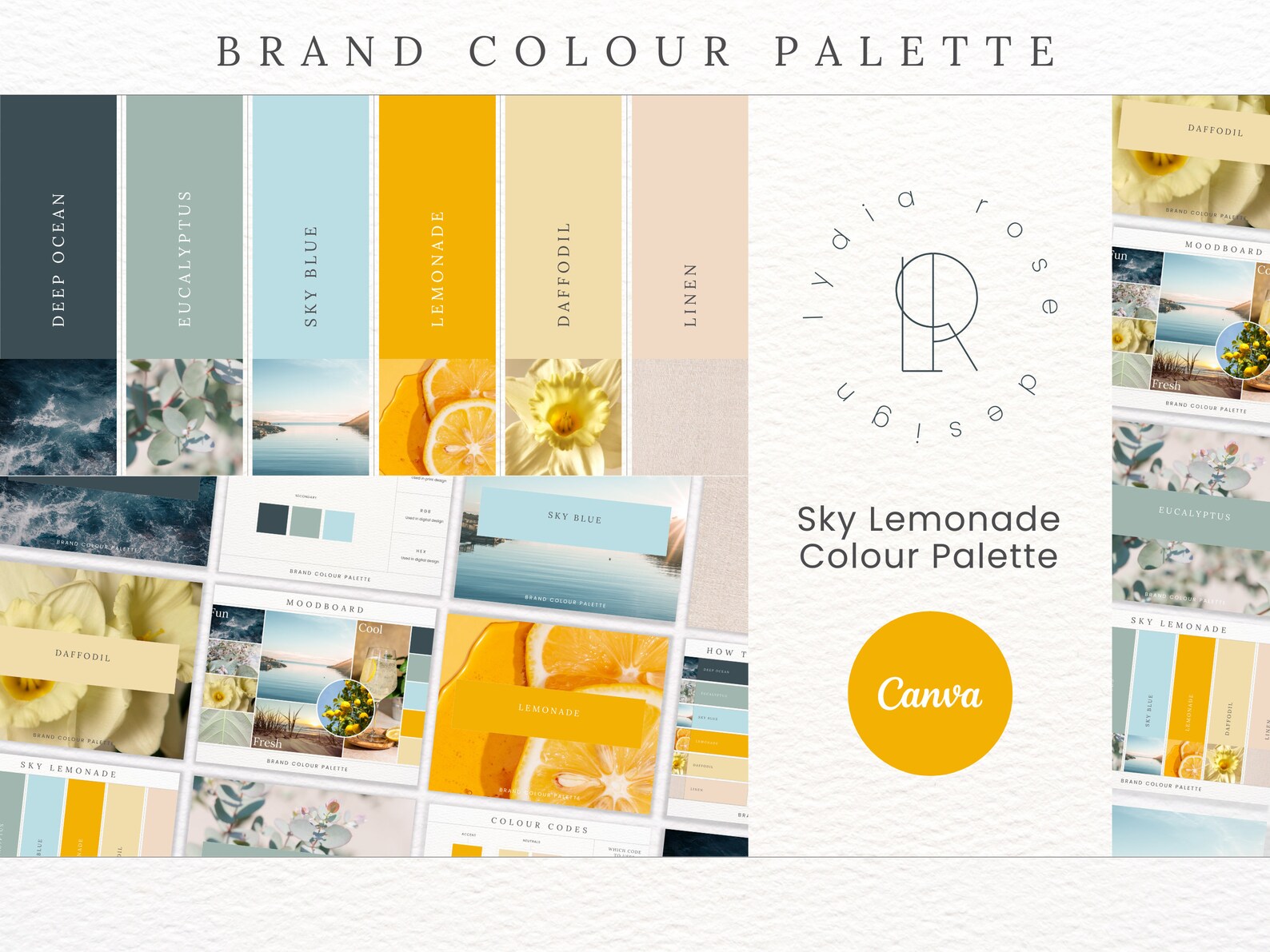 Premium Colour Palette Summer Colour Palette With CMYK, RGB & Hex Codes ...