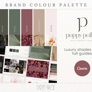 Premium Colour Palette Colour Palette With CMYK, RGB & Hex Codes ...