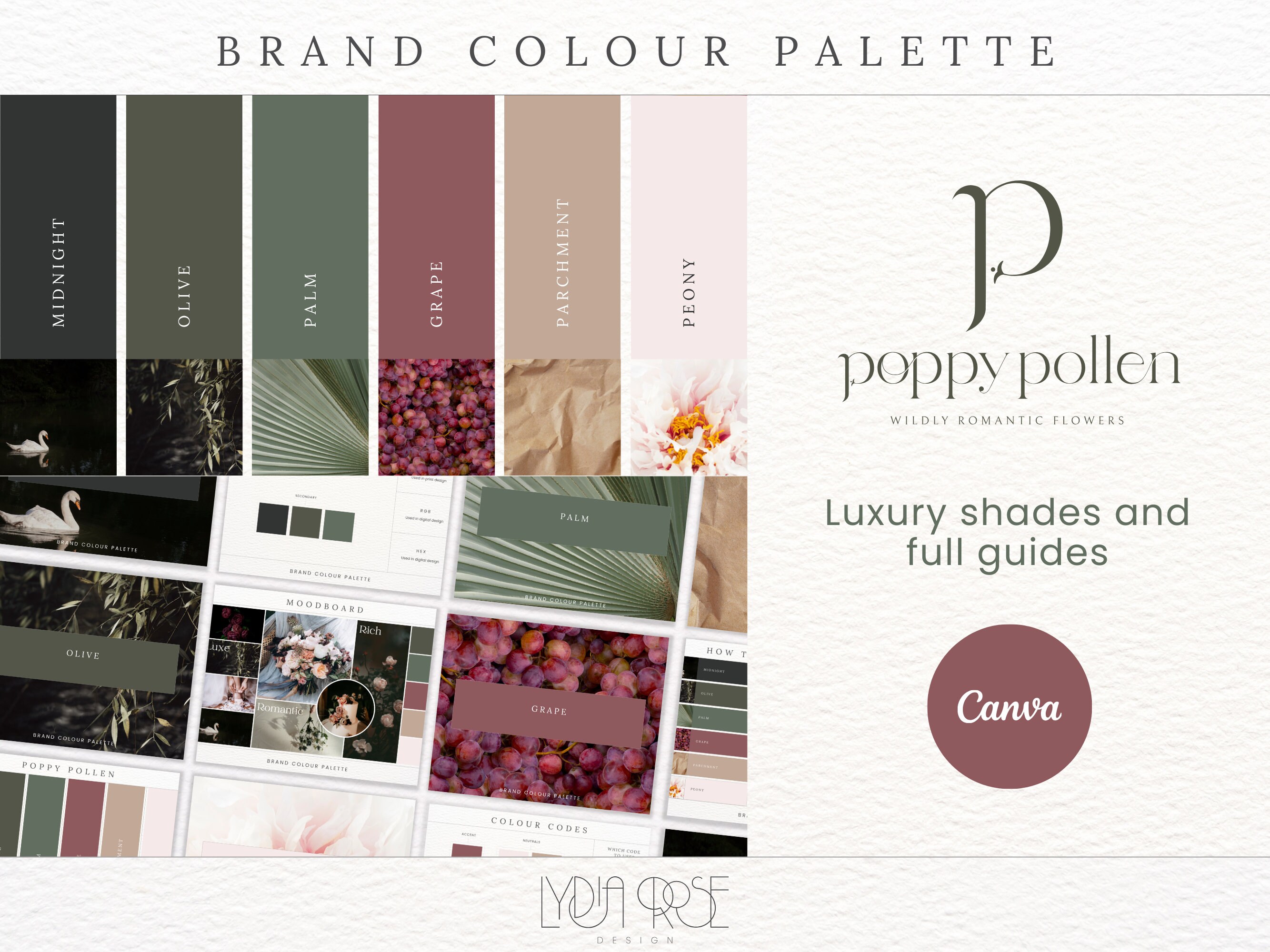 Premium Colour Palette | Colour Palette With CMYK, RGB & Hex Codes ...