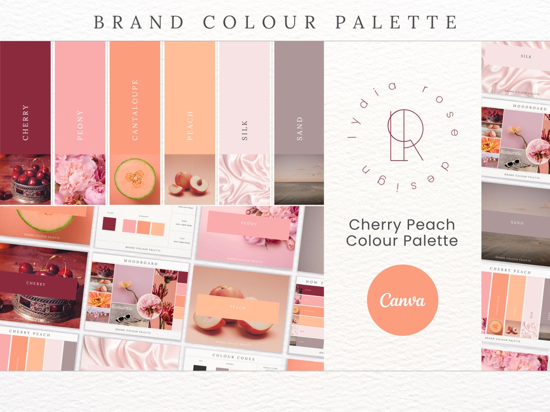 Premium Colour Palette Feminine Colour Palette With CMYK, RGB & Hex ...