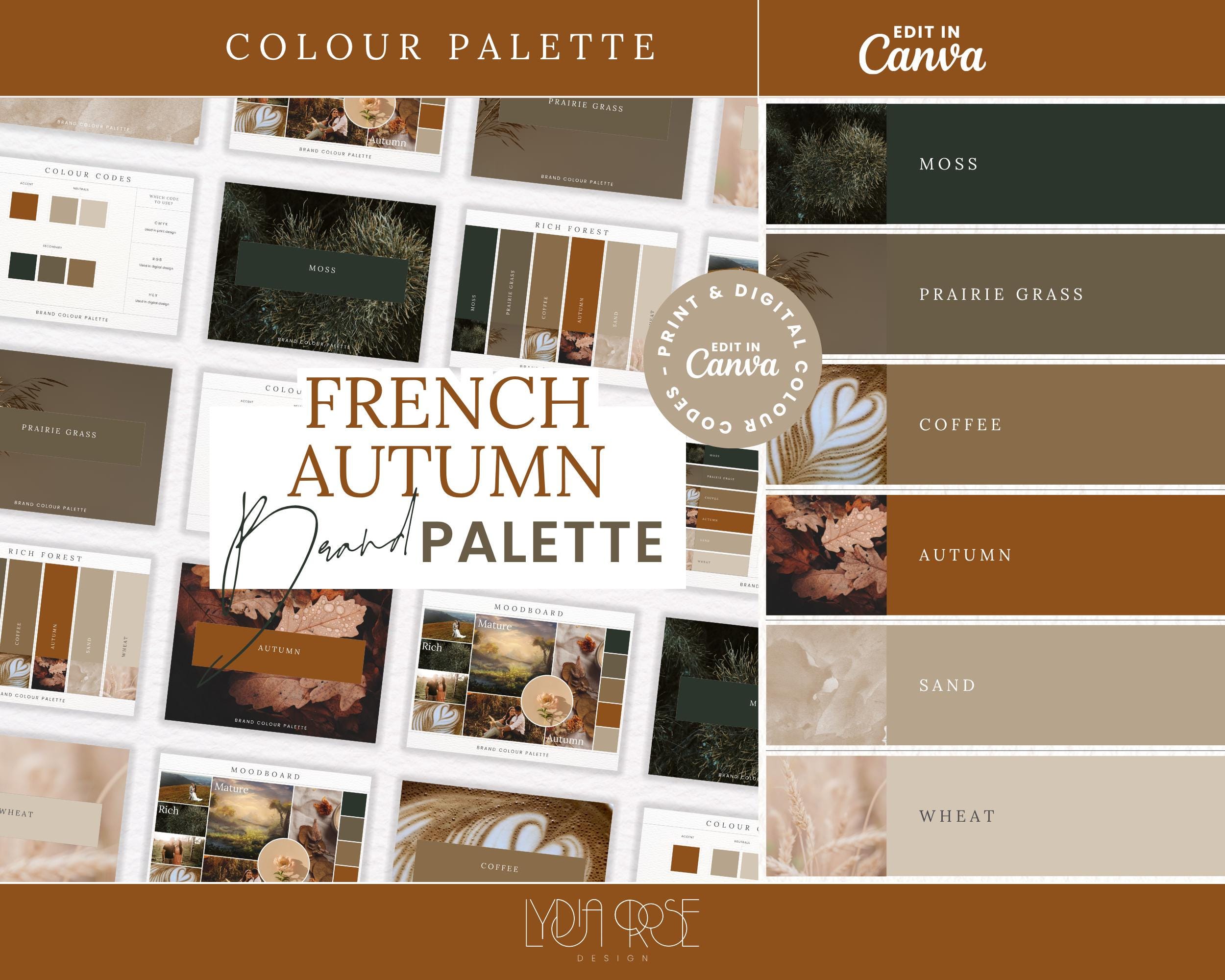 Premium Colour Palette | Colour Palette With CMYK, RGB & Hex Codes ...