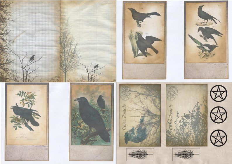 Raven Paper Collection - Etsy