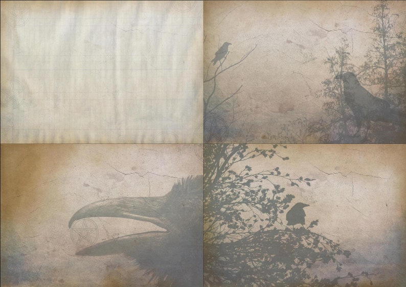 Raven Paper Collection - Etsy