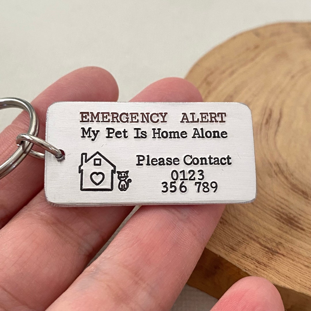 Personalised Home Alone Pet Keychain, Pet Owner Gift, Cat Lover, Dog ...