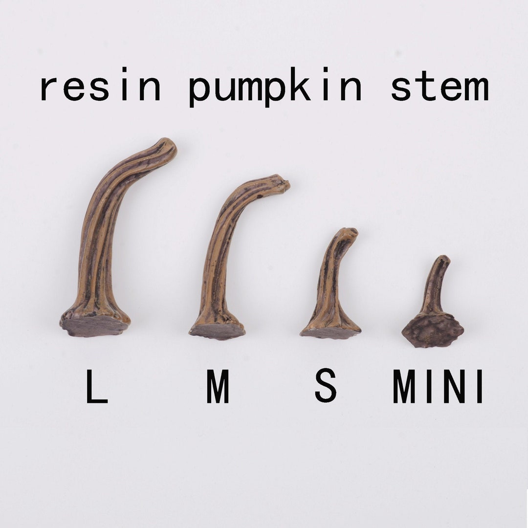 Resin Pumpkin Stems: DIY Velvet Pumpkin Craft - Four Sizes - Etsy