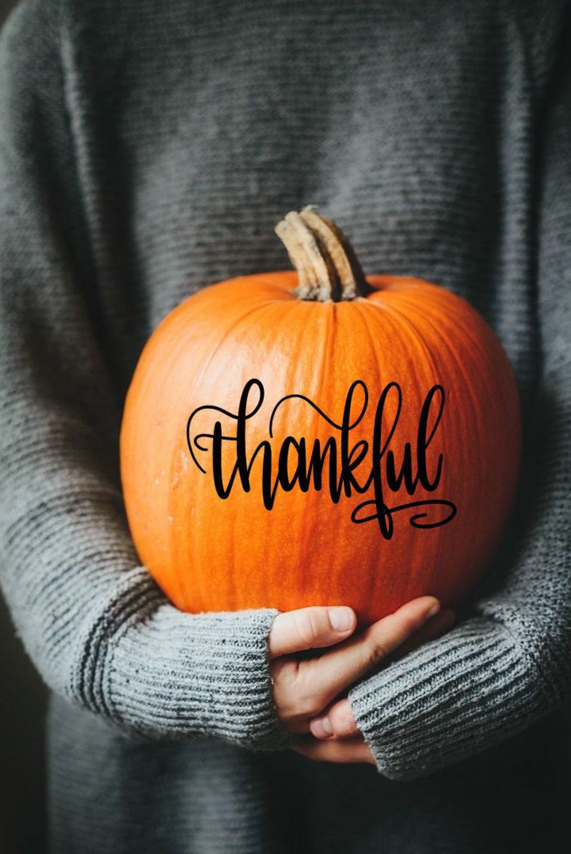 Pumpkin Decals Hello Fall Decal Grateful Decal Thankful Decal - Etsy