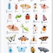 Insect Alphabet Print, Nursery Wall Art, Bugs Print, Children's Prints ...