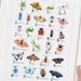 Insect Alphabet Print, Nursery Wall Art, Bugs Print, Children's Prints ...