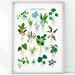House Plants, Botanical Print, Plant Poster, Indoor Plant, Bathroom ...