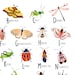 Insect Alphabet Print, Nursery Wall Art, Bugs Print, Children's Prints ...