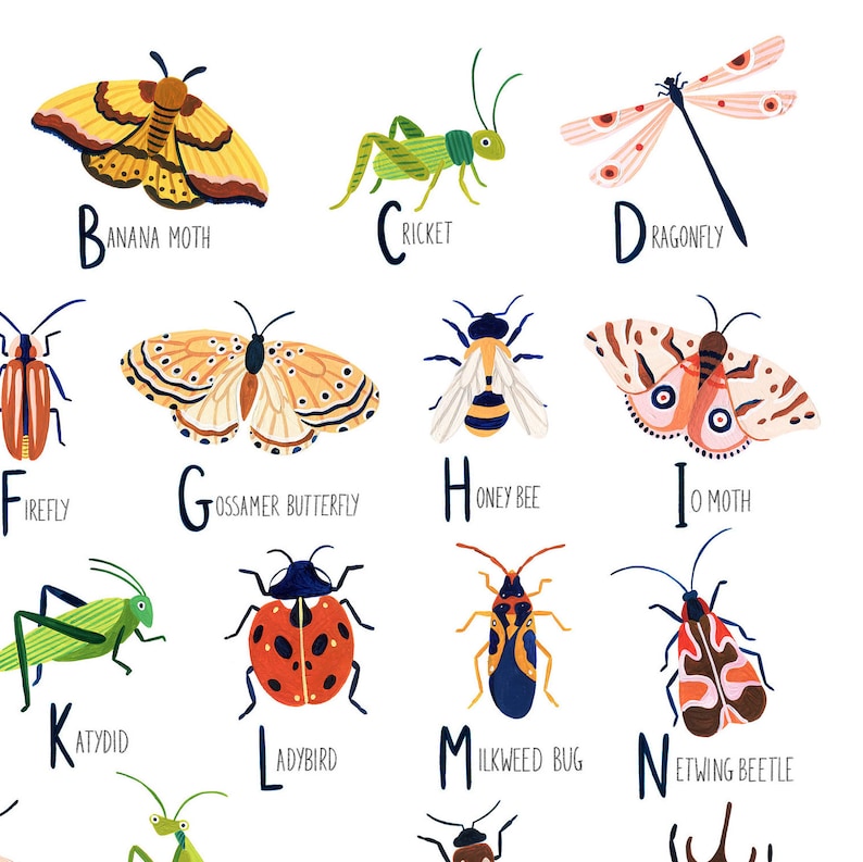 Insect Alphabet Print Nursery Wall Art Bugs Print | Etsy