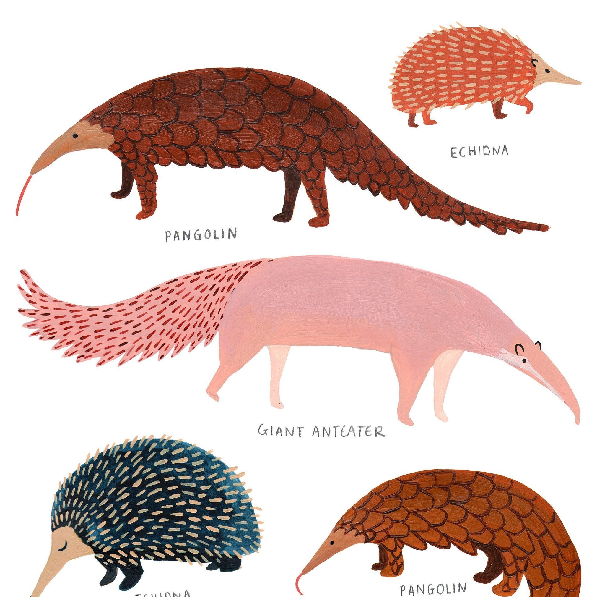 Pangolin Anteater & Echidna Print Nursery Wall Art Animal - Etsy UK