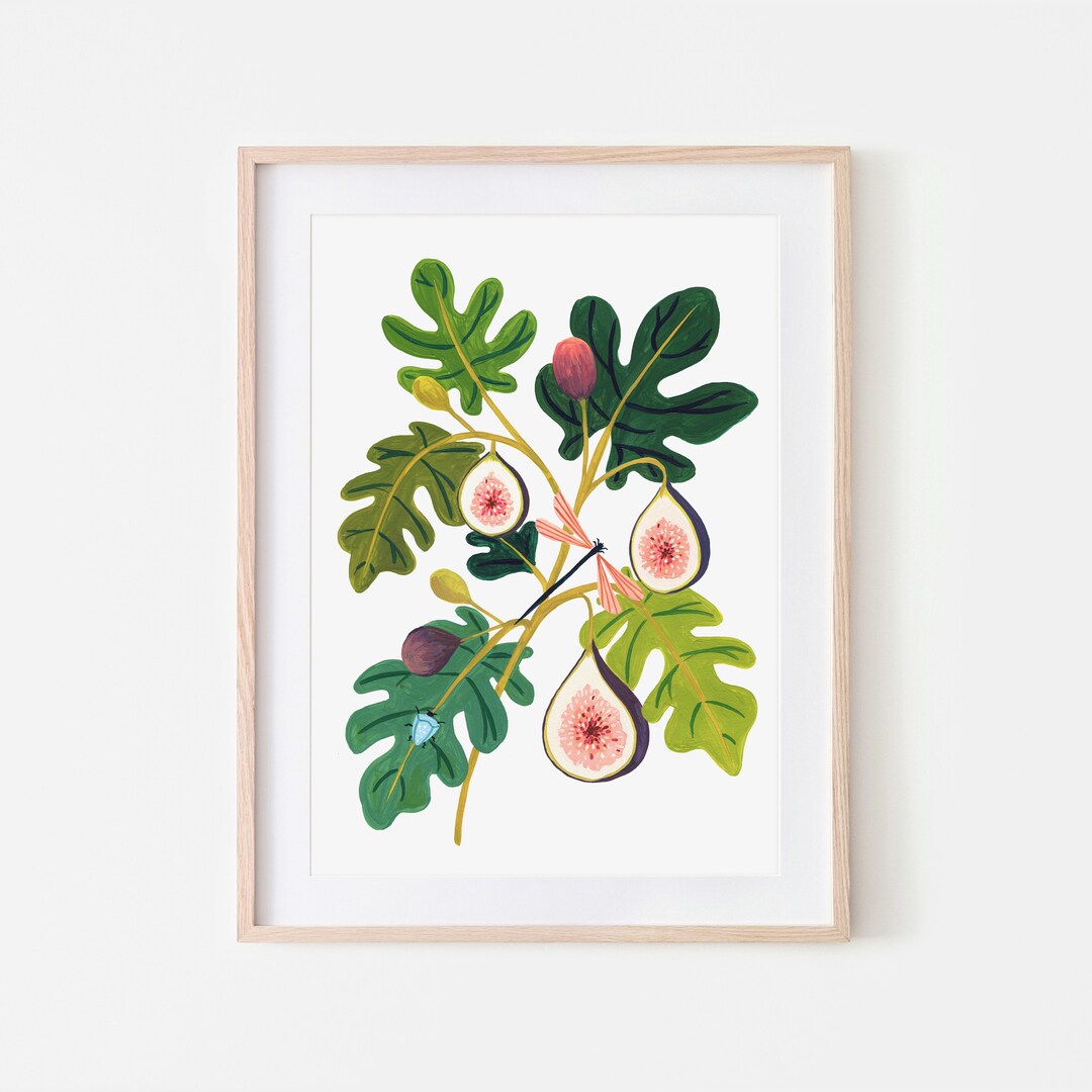 Fig Print, Kitchen Decor, Fruit Illustration, Botanical Print, Home ...