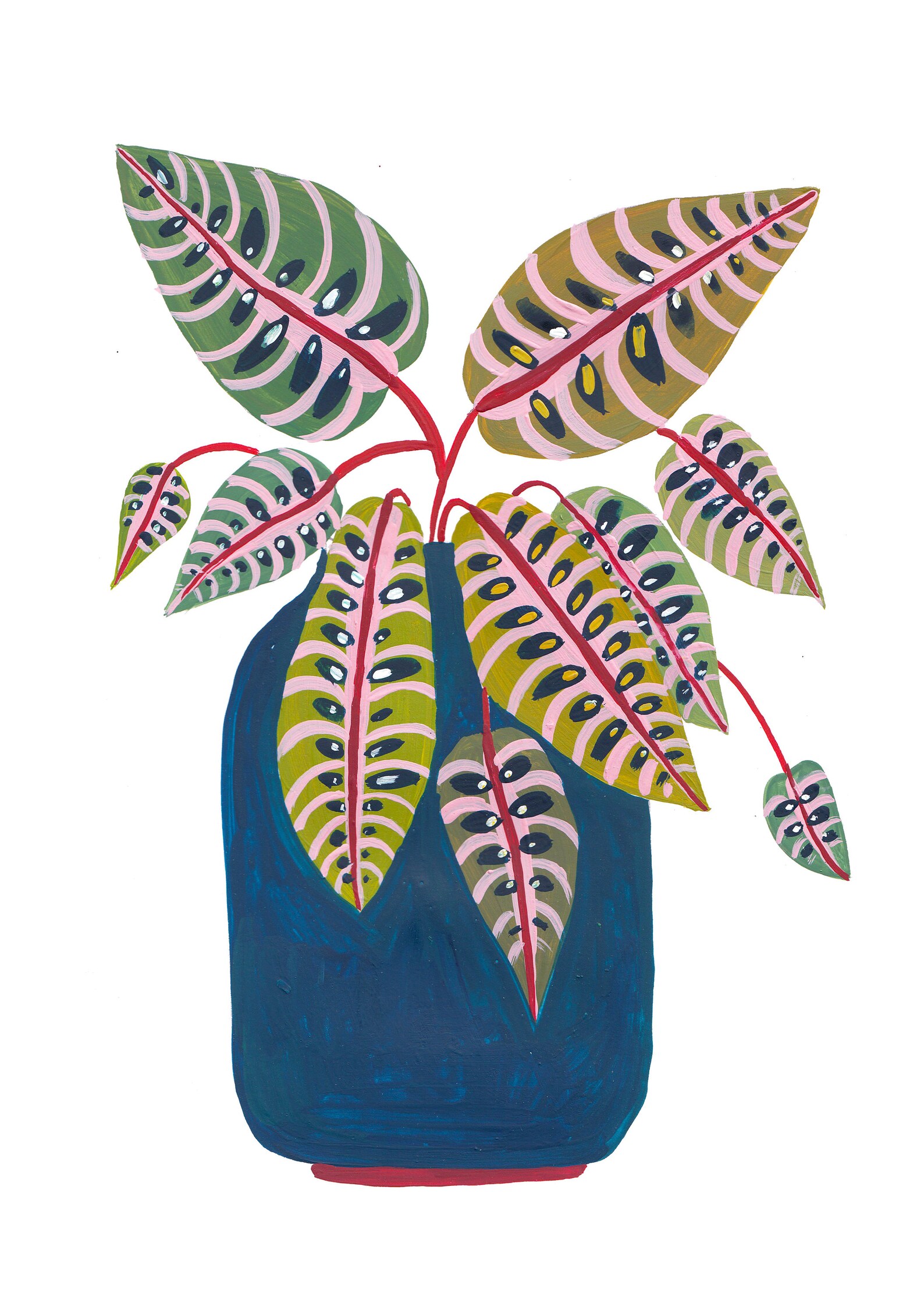 Botanical Print / Prayer Plant / Botanical Illustration / Home | Etsy