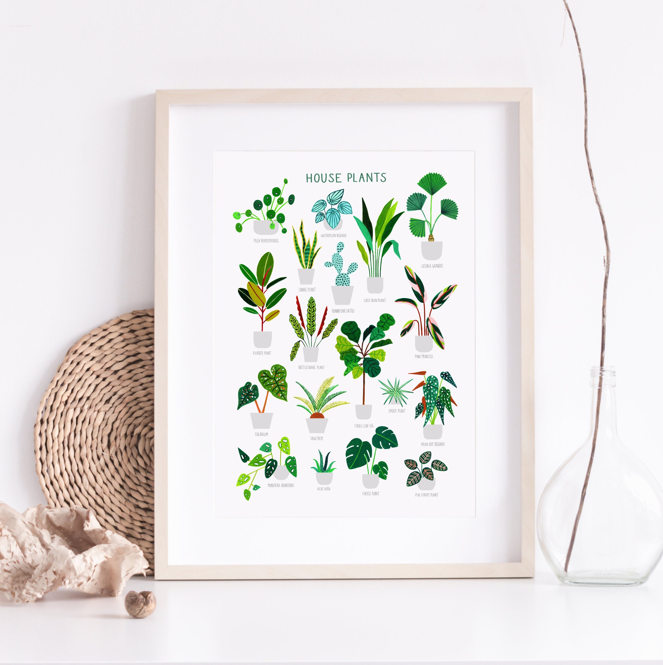House Plants Botanical Print Plant poster Indoor Plant | Etsy