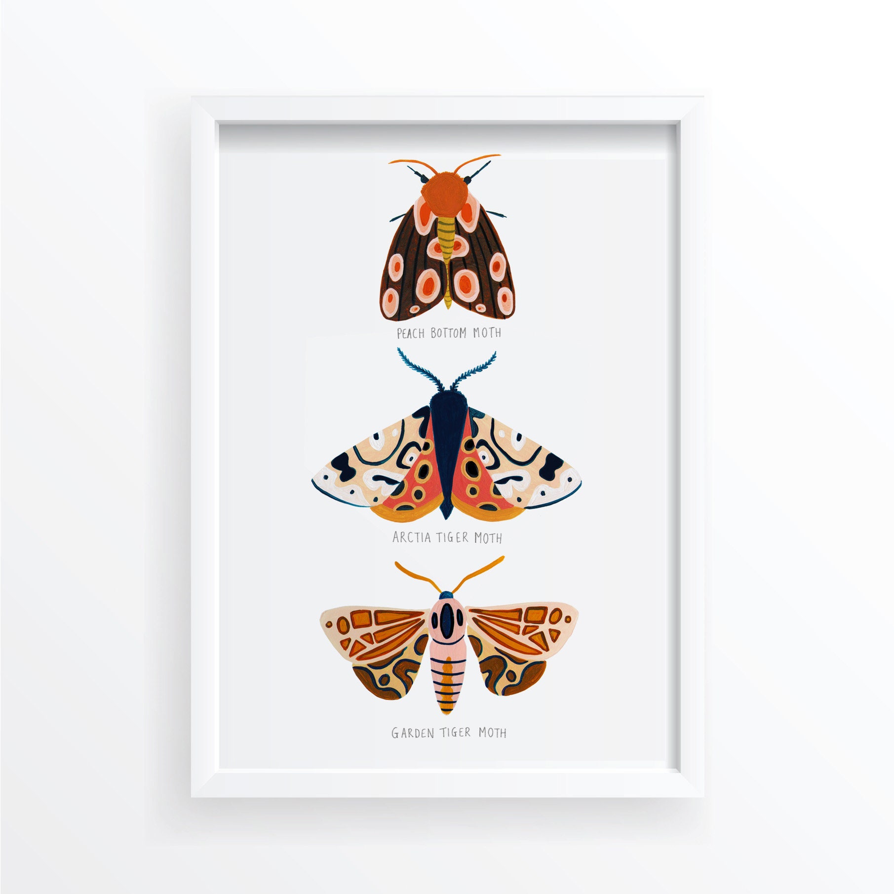 Moth Trio Print, Insect Print, Nursery Wall Art, Bugs Print, Kids Room ...