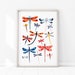 Dragonfly Wall Art, Insect Print, Nursery Wall Art, Bugs Print, Kids ...
