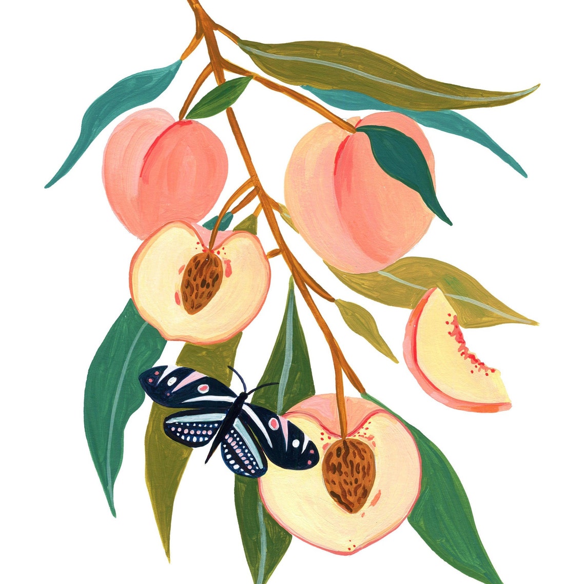 Peach Print Kitchen Decor Fruit Illustration Botanical - Etsy