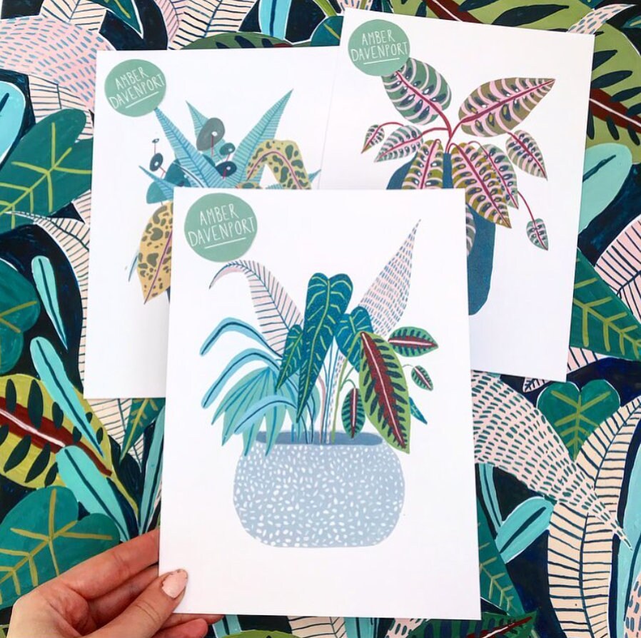 Botanical Print / Prayer Plant / Botanical Illustration / Home | Etsy