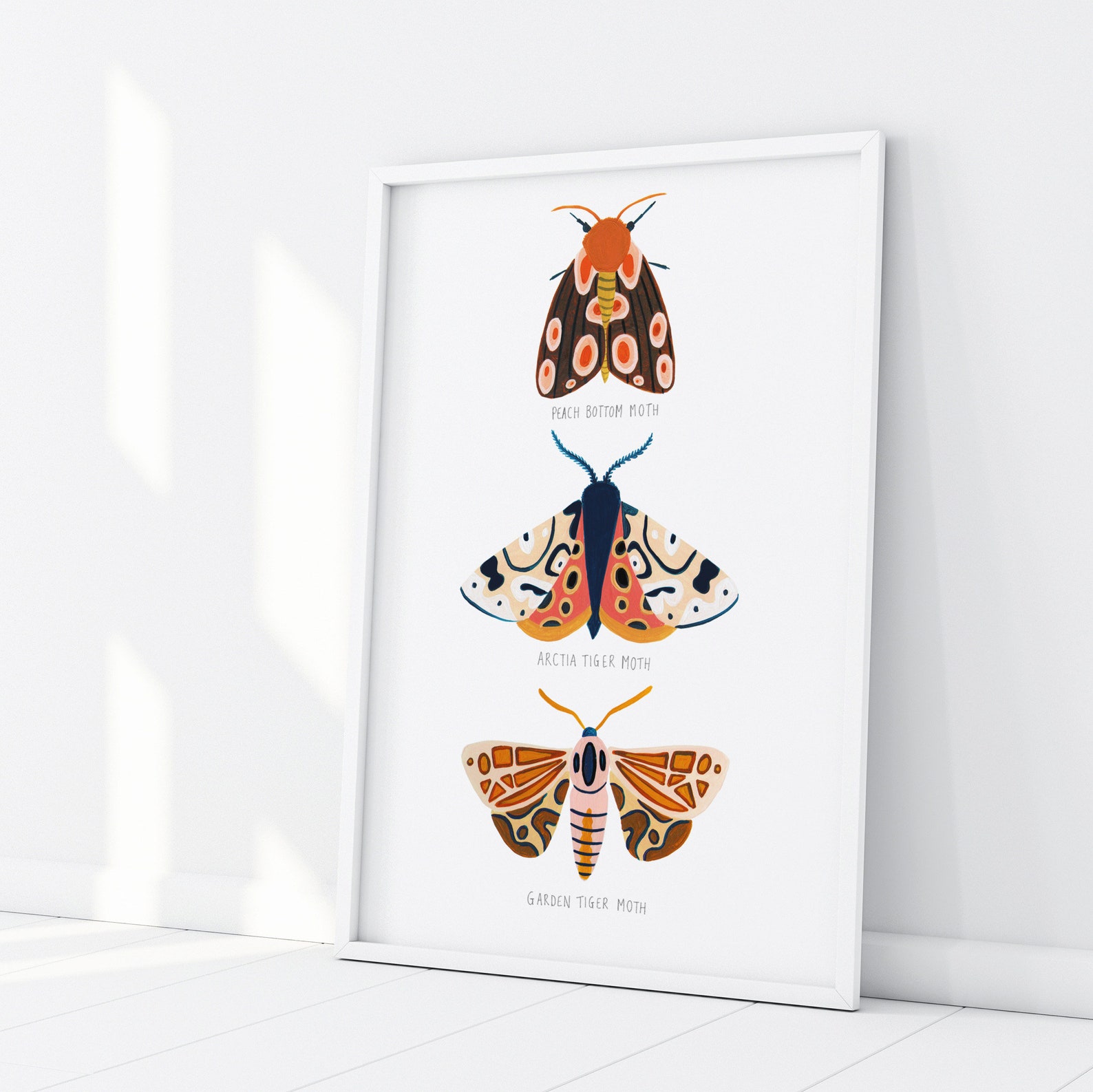 Moth Trio Print, Insect Print, Nursery Wall Art, Bugs Print, Kids Room ...