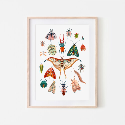 Insect Alphabet Print Nursery Wall Art Bugs Print - Etsy
