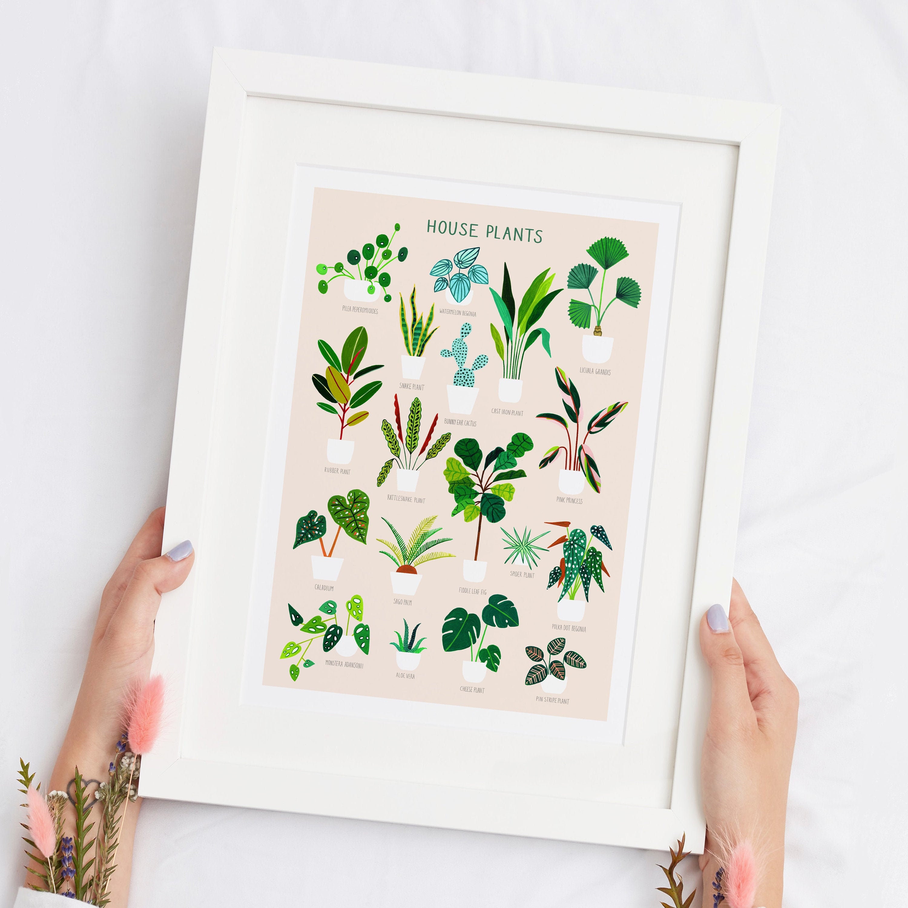 House Plants on Pink Print Botanical Print Plant poster | Etsy