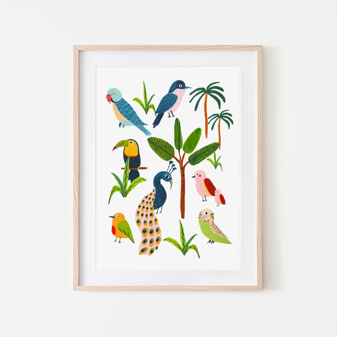 Tropical Bird Species / Bird Painting / Parrot / Peacock / Toucan ...