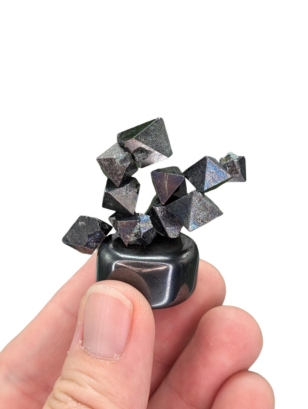 Octahedral Magnetite Crystals With Magnet Mineral Specimen, Curiosity ...