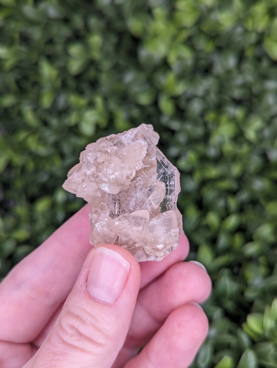 Calcite and Celestine - Stoneco White Rock Quarry, Clay Center - Raw ...