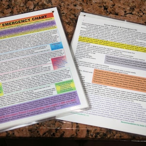 Ferret Emergency Chart and Health Medical Kit List Laminated Quick ...