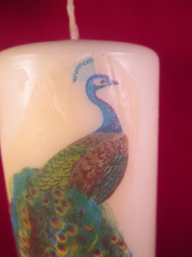 Peacock Candle, Peacock Gift, Large Pillar Candle, Decorated Candle ...
