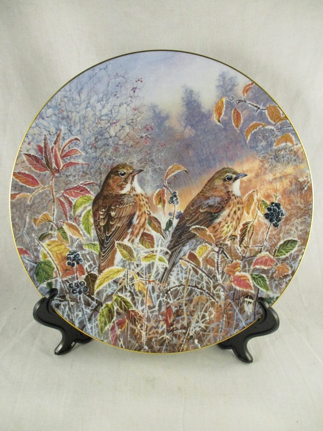 Coalport Plate, Song Thrush Plate, Bird Plate, Limited Edition Plate ...