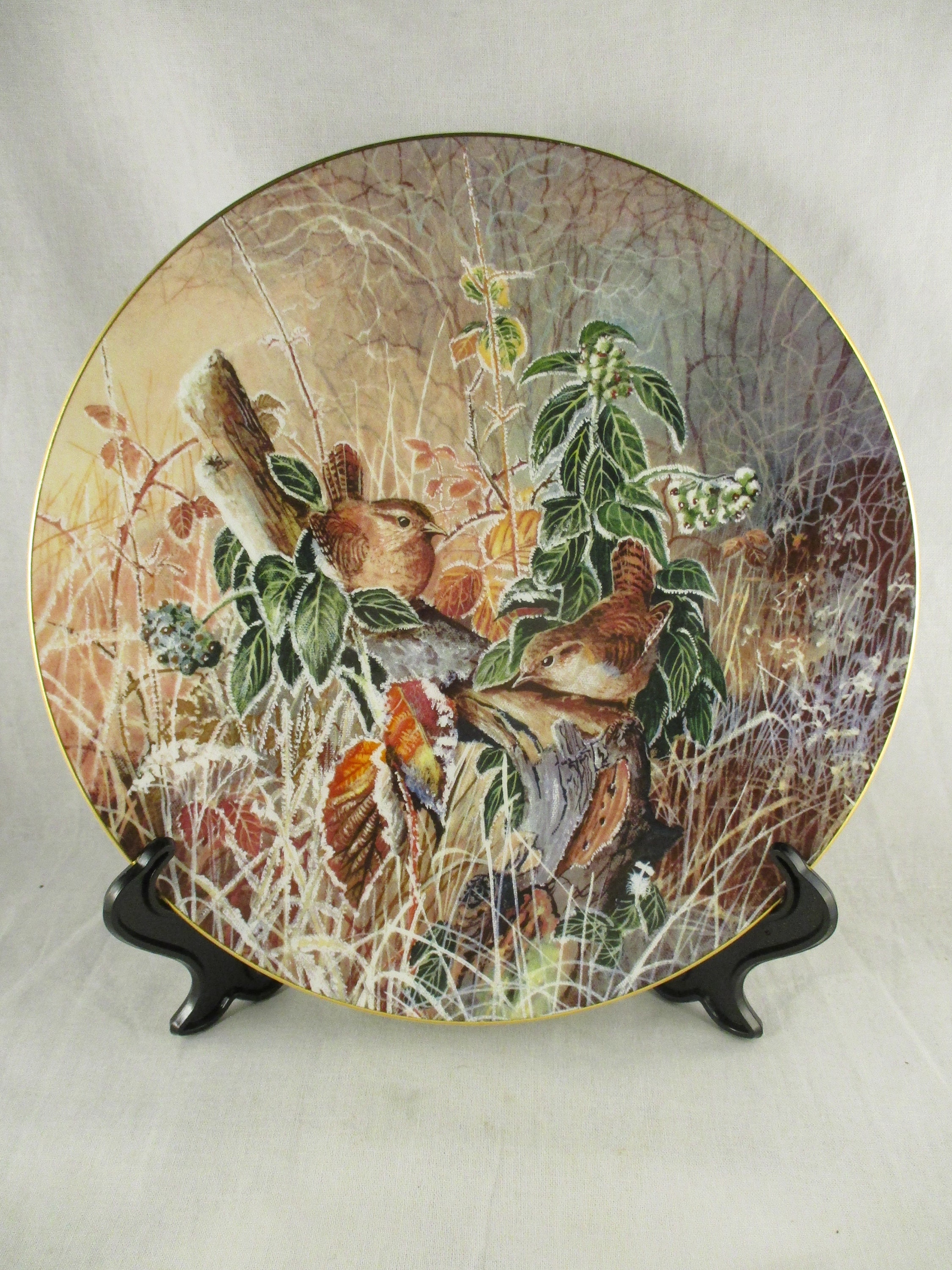 Coalport Plate, Wren Plate, Bird Plate, Limited Edition Plate, Vintage ...