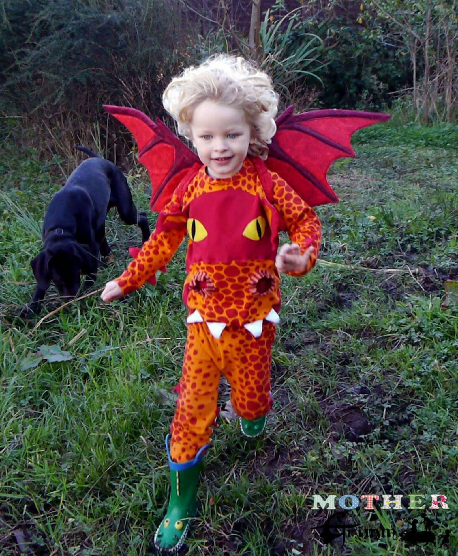 Dragon Wings Pattern Mothergrimm PDF Pattern & Tutorial - Etsy Australia