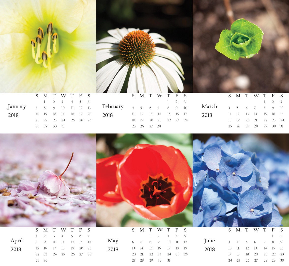2022 Calendar, Flower Photography Desk Calendar With Easel, Photo Print ...