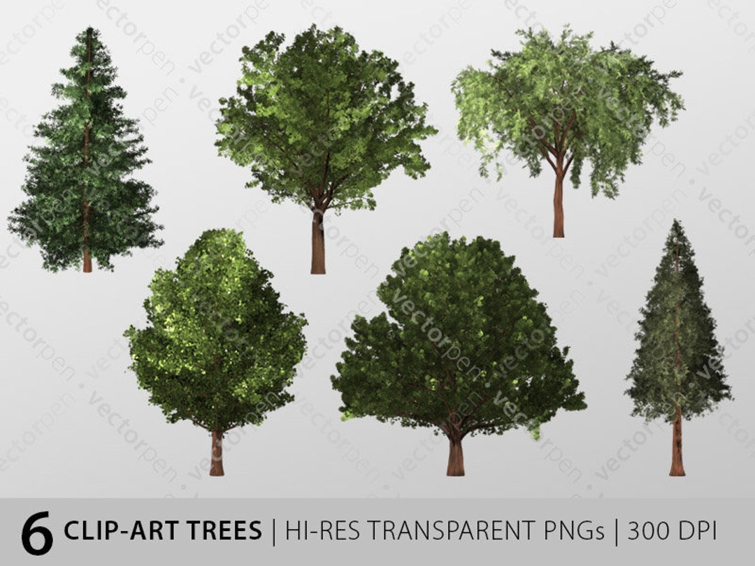 6 Realistic Clip Art Trees PNG Pack | Sublimation Printing or Digital ...