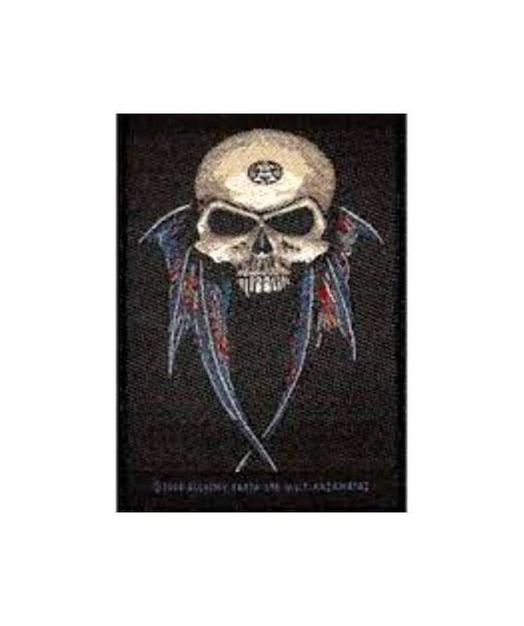 Batwing Skull Flying Skeleton Patch Head Alchemy Carta Vintage Sew on ...