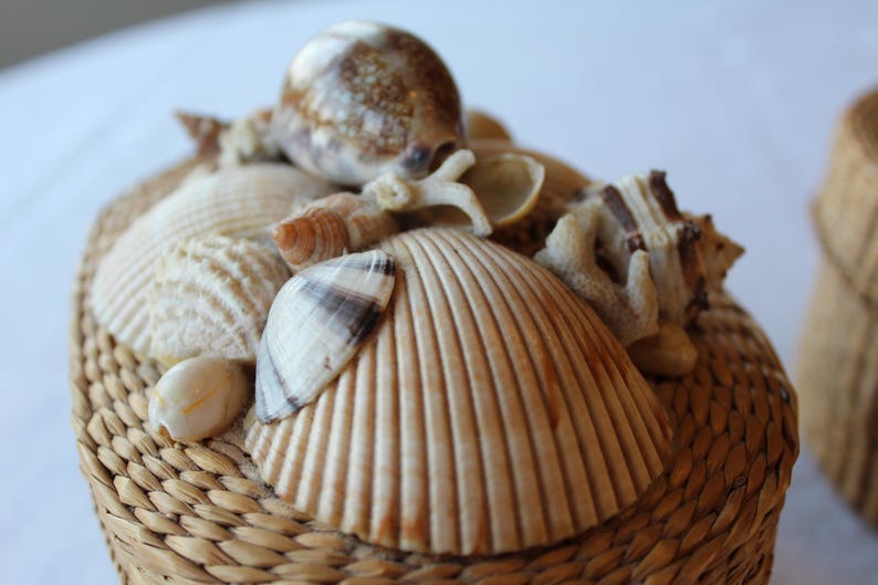 Set of 2 Vintage Wicker Seashell Decorative Baskets - Etsy
