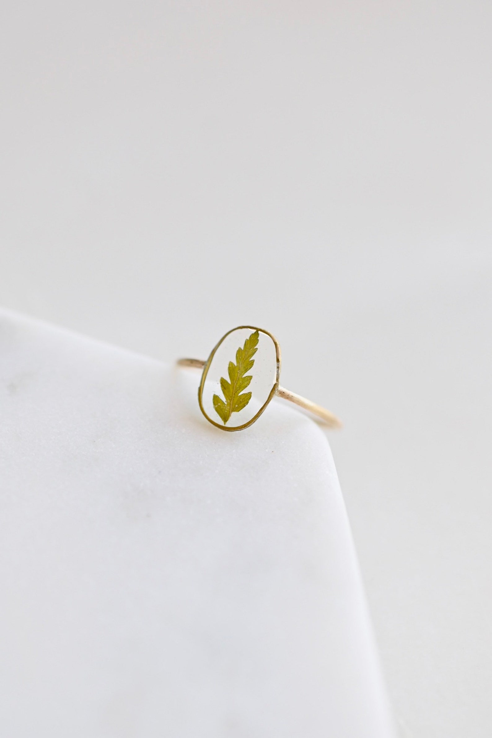 Fern Ring Plant Ring Botanical Ring Pressed Fern Ring Gold - Etsy