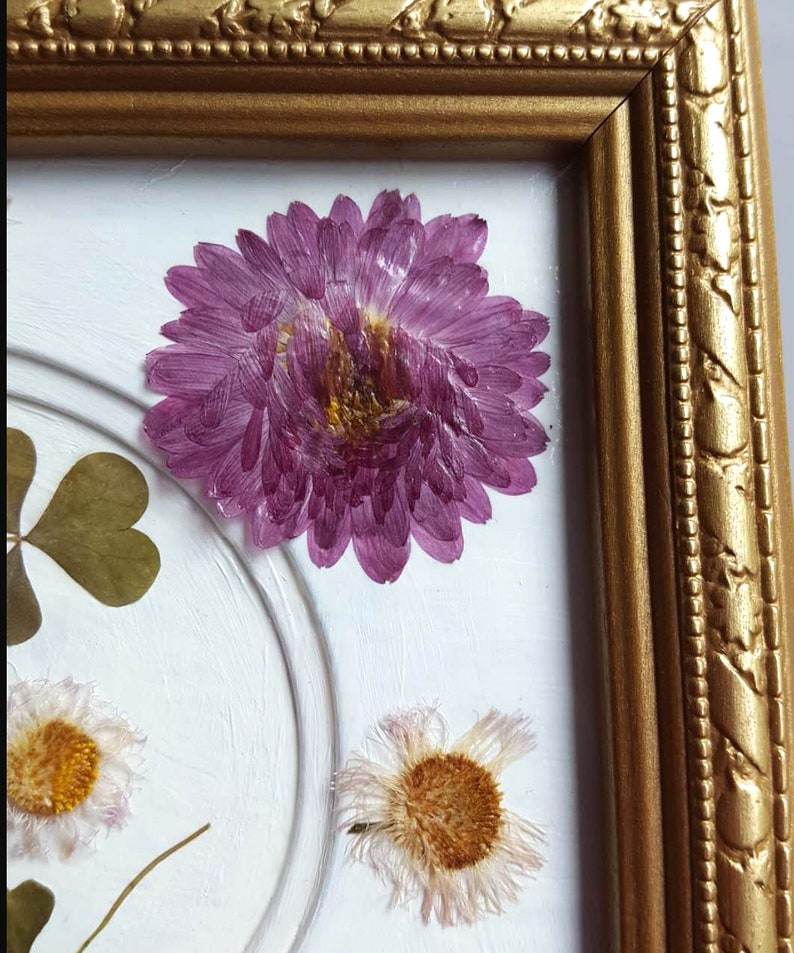 Framed Dried Flowers Picture With Mums Azalea Hydrangea & Wild Flowers ...