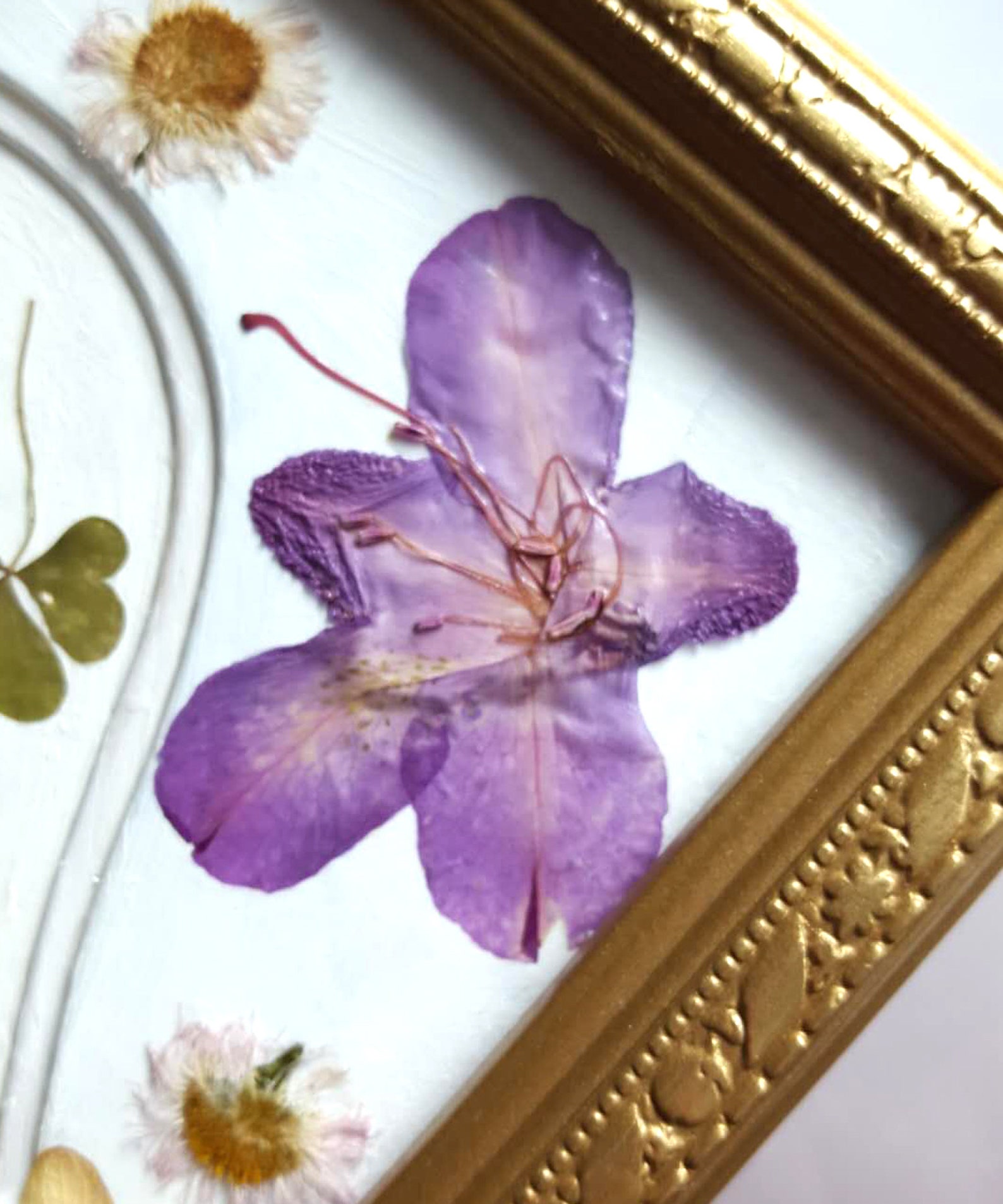 Framed Dried Flowers Picture With Mums Azalea Hydrangea & Wild Flowers ...