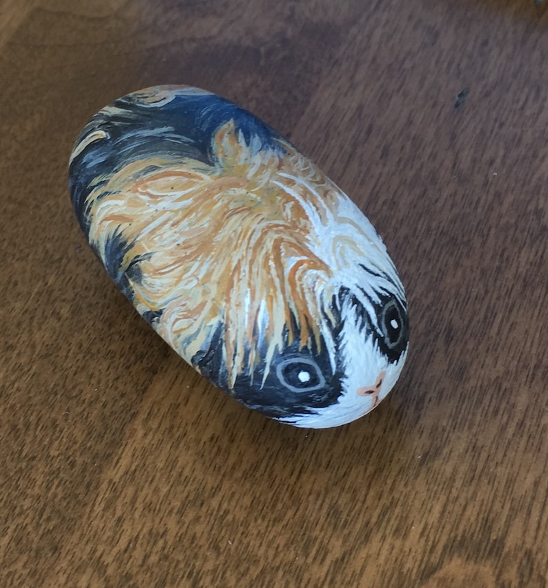 Custom Painted Guinea Pig - Etsy