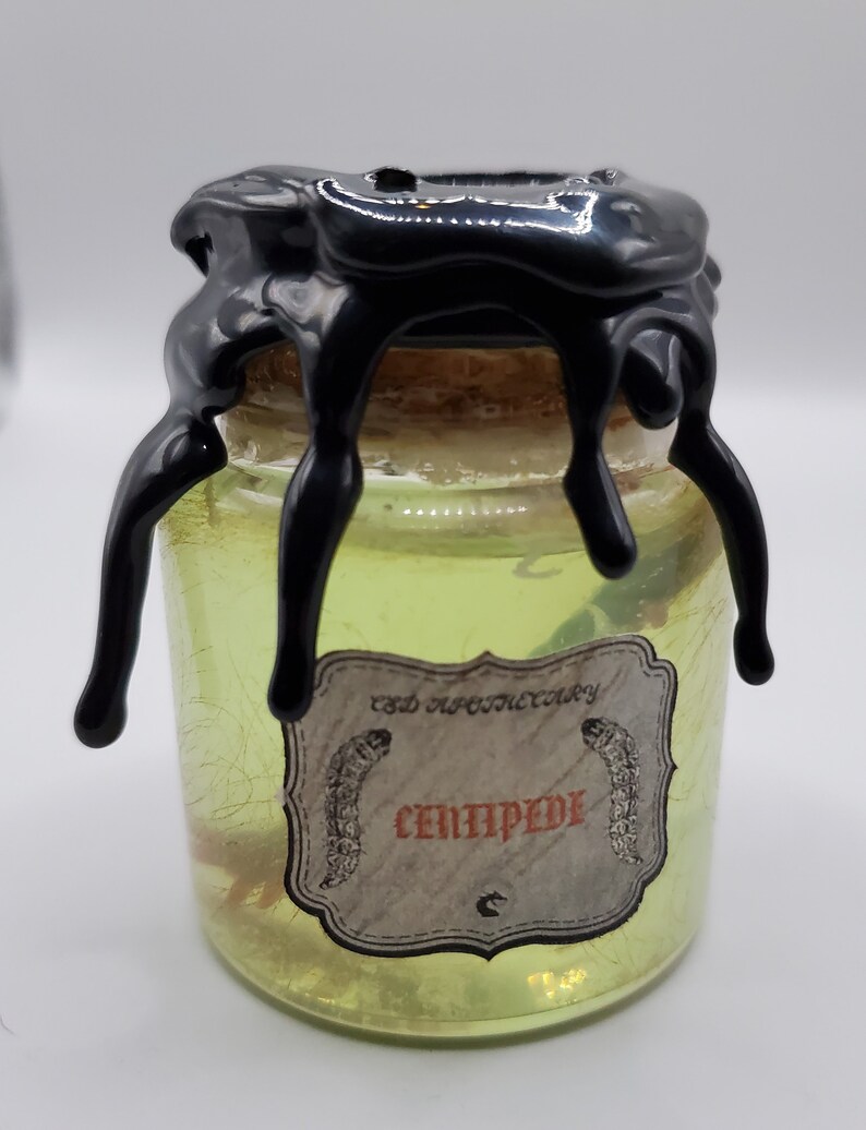 Centipede (prop) - Etsy