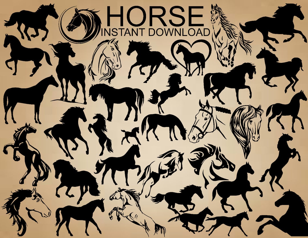 Cheval Svg Bundle, 33 Images, Cheval Png, Cheval Numérique, Silhouette ...