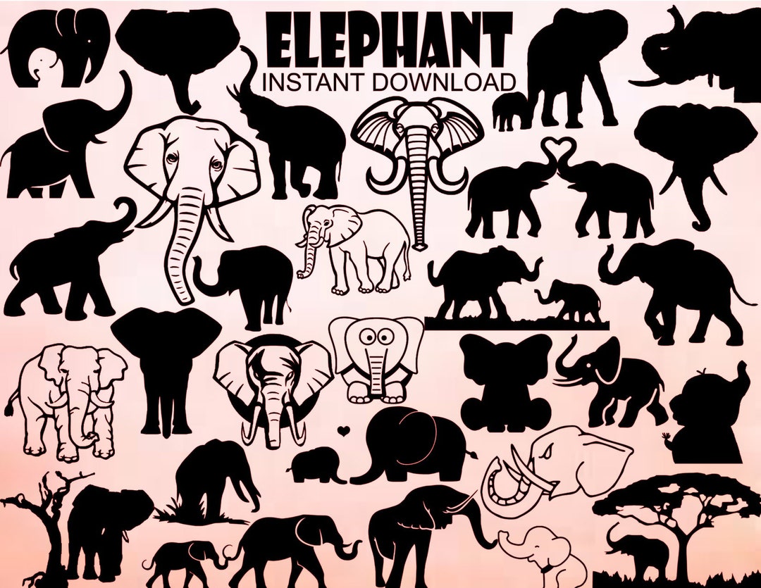Elephant SVG Bundle, Safari Animals Clipart (digital Download) - Etsy
