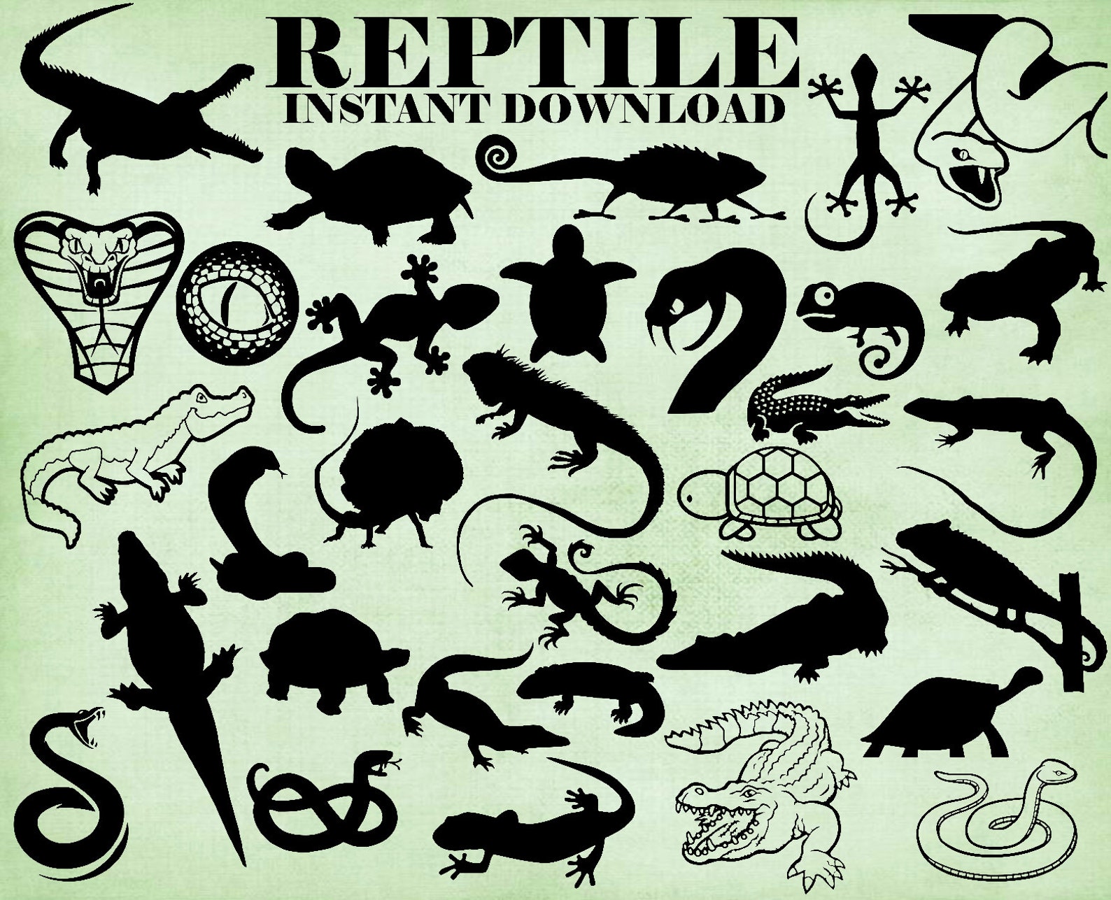 125 Land and Sea Svg Bundle Reptile Svg Under the Sea Svg - Etsy