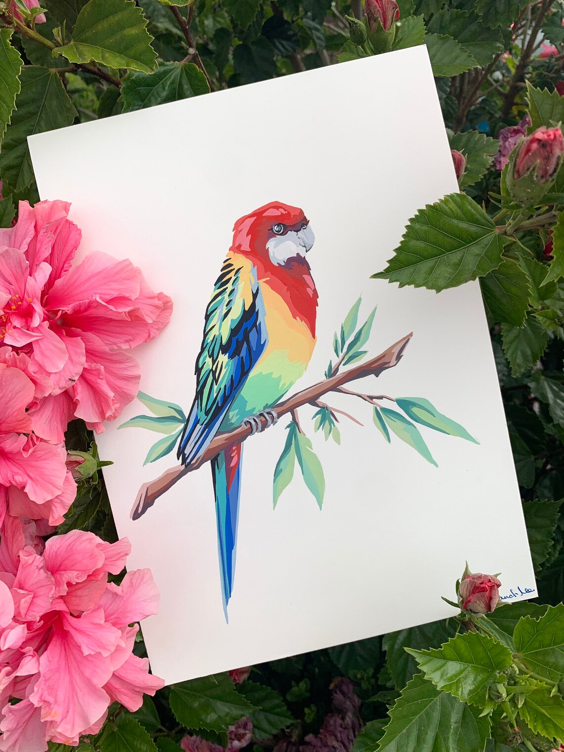 Rosella Painting, Rosella Print, Australian Bird Print, Original ...