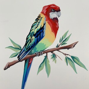 Rosella Painting, Rosella Print, Australian Bird Print, Original ...