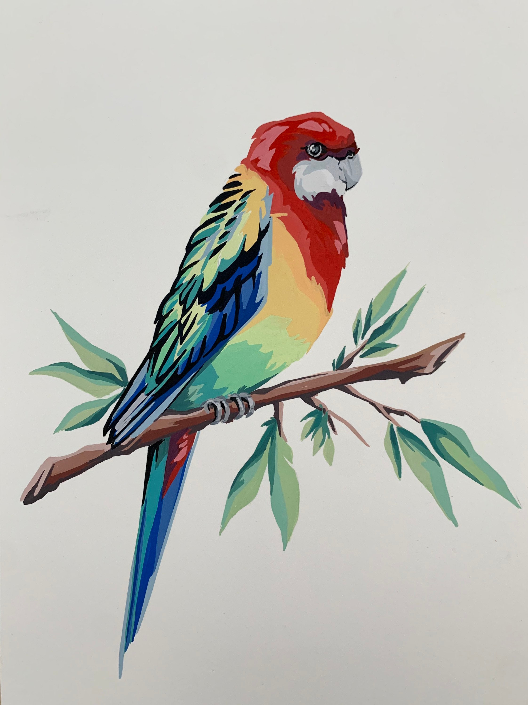 Rosella Painting, Rosella Print, Australian Bird Print, Original ...