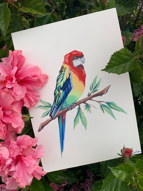 Rosella Painting Rosella Print Australian Bird Print | Etsy